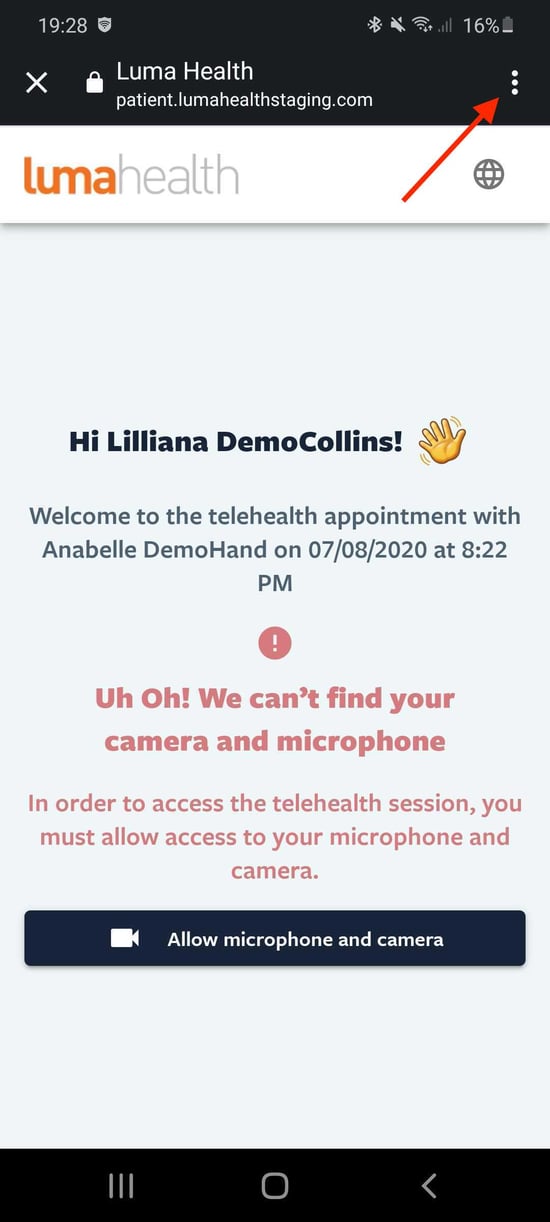 Telehealth: Patient User Guide – Luma Health