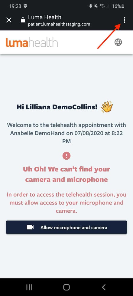 Telehealth: Patient User Guide – Luma Health